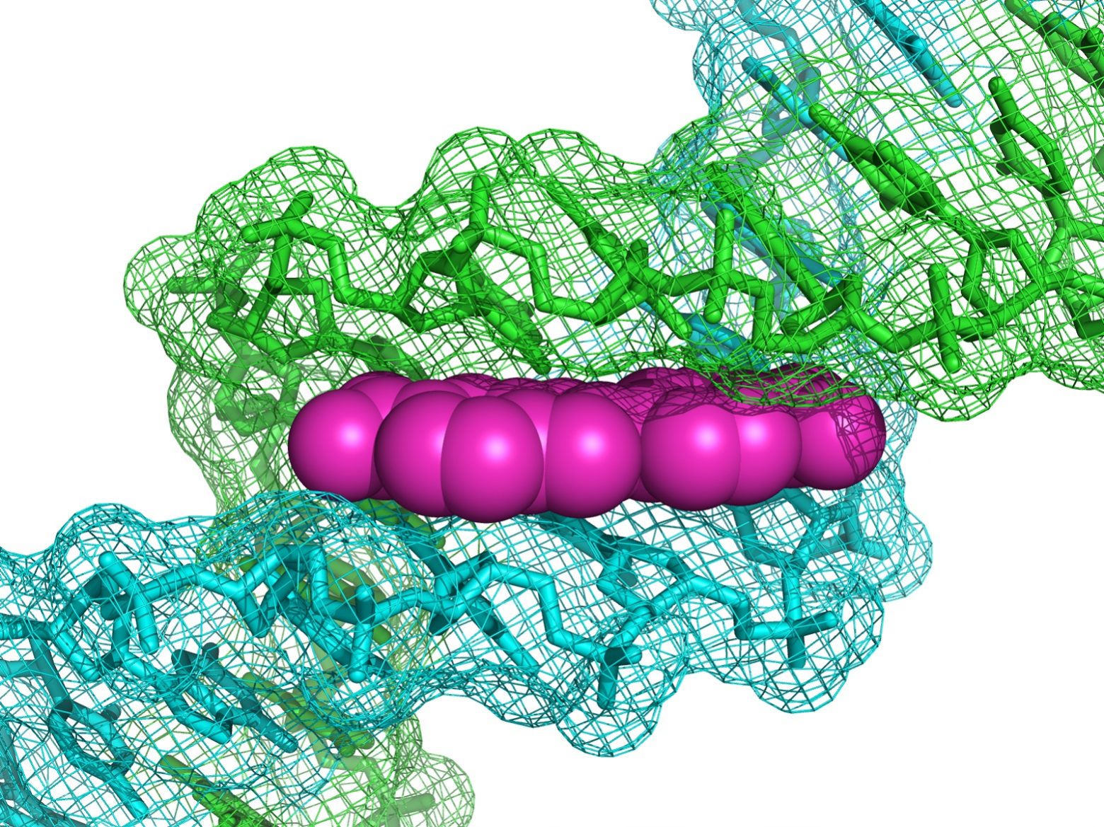 Drug Repurposing Online – Gold standard drug repurposing online database